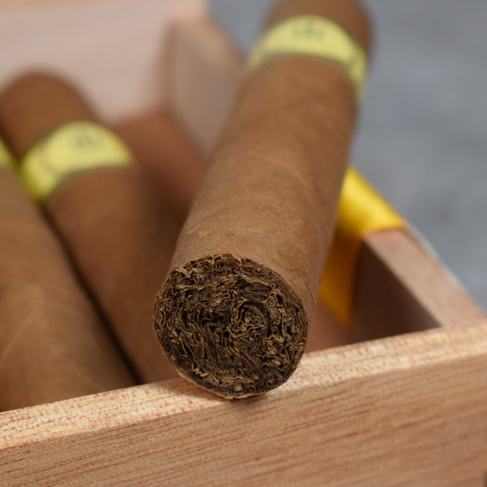 Premium Cigars from Cuba, Nicaragua & More – The Cigar Shop